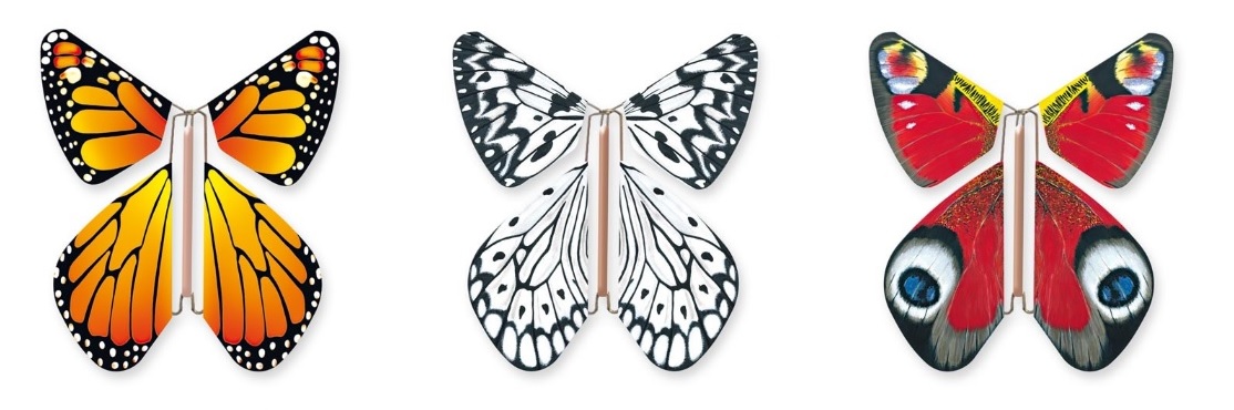 Magic Butterfly Packet
